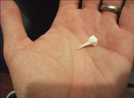 Ineffective Drug Policy Puts Clubbers At Risk - Only Techno